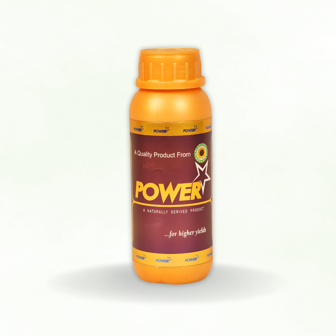 POWER STAR - Chlorophyll Organics